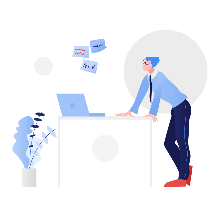 Spinnaker Program - Bip Consulting